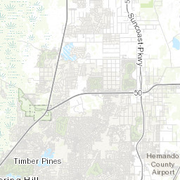 ArcGIS Web Application