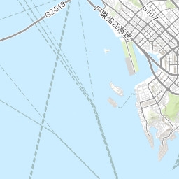 Hong Kong Topographic Map