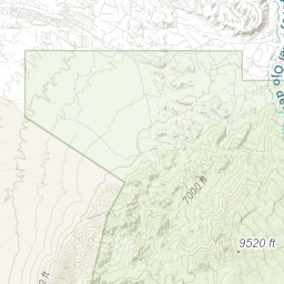 ArcGIS Web Application