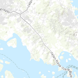 ArcGIS World Geocoding Service