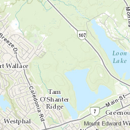 ArcGIS Web Application