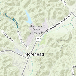 ArcGIS Web Application