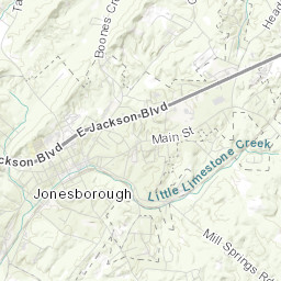 ArcGIS Web Application