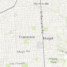 ArcGIS Web Application