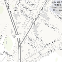 ArcGIS Web Application