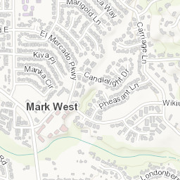 ArcGIS Web Application