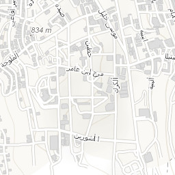 ArcGIS Web Application