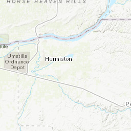 ArcGIS Web Application