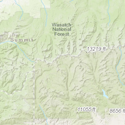 Utah Wasatch County Parcels LIR