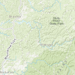 Virginia Parcels (Map Service)