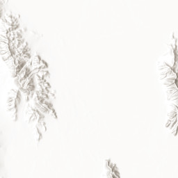 ArcGIS Web Application