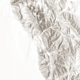 ArcGIS Web Application