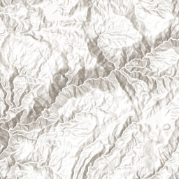 Camp Fire Structure Status Map