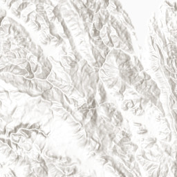 ArcGIS Web Application