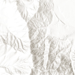 ArcGIS Web Application