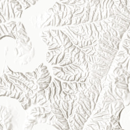 ArcGIS Web Application