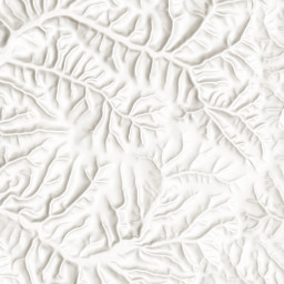 ArcGIS Web Application