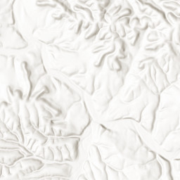 ArcGIS Web Application