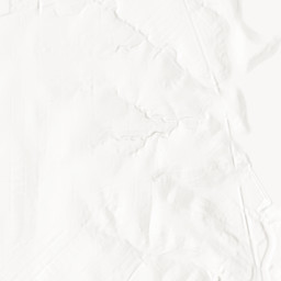 ArcGIS Web Application