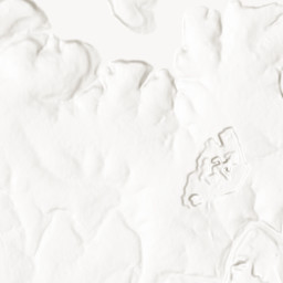 ArcGIS Web Application