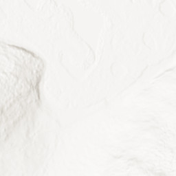 Esri, NASA, NGA, USGS, FEMA