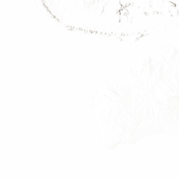 Modified Monash Model 2023