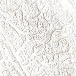 ArcGIS Web Application