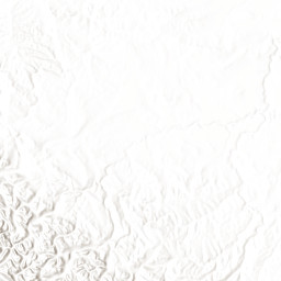 ArcGIS Web Application