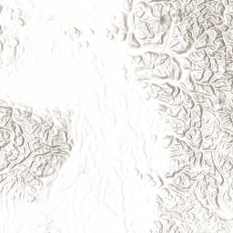 ArcGIS Web Application