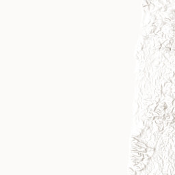 US Wildfire Activity Web Map