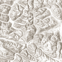ArcGIS Web Application
