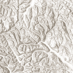 ArcGIS Web Application