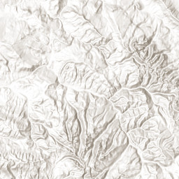 Geologic and biostratigraphic map of the Pierre shale between Jarre ...