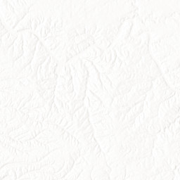 Davidson County Boundary