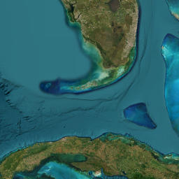 Miami-Dade Reef and Buoy Finder